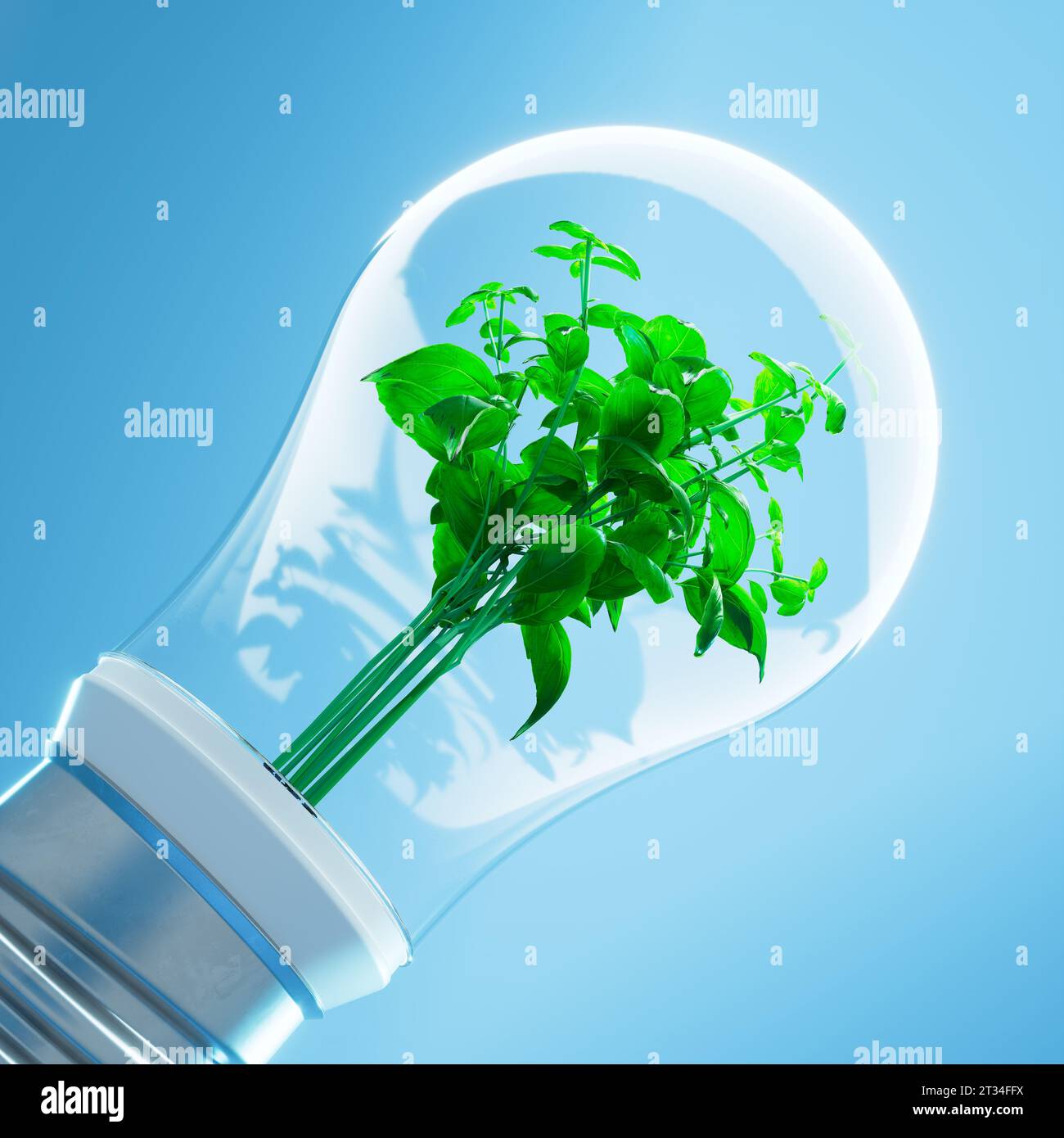 Green plant growing in the light bulb at the blue background. Concept ...