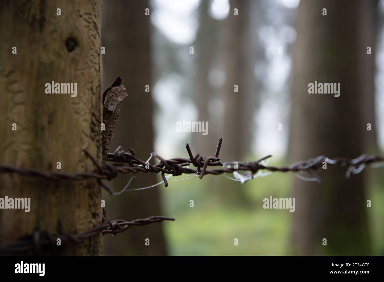 Wire attachment hi-res stock photography and images - Alamy