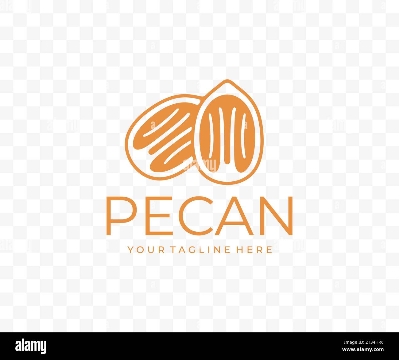 Pecan nut, nutty, food, meal, plant and nature, graphic design. Fruit ...