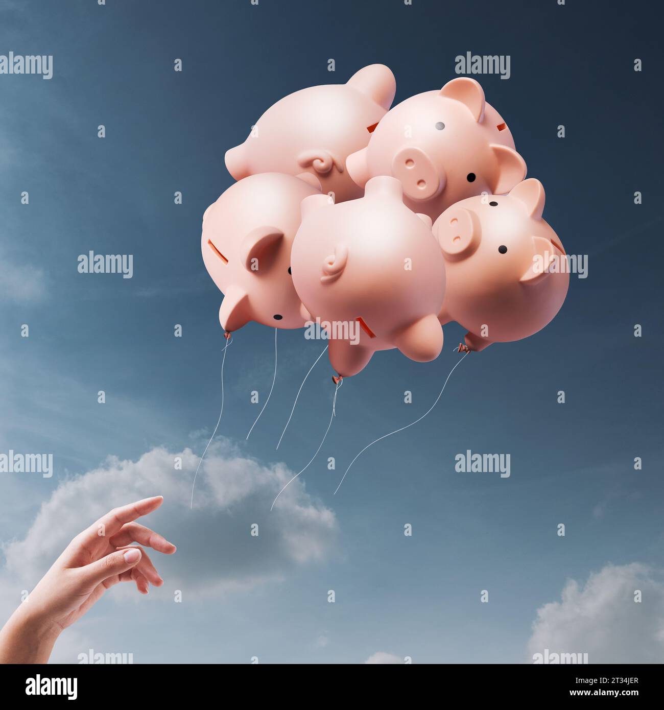 Balloon piggy banks flying away: inflation and high-risk investments ...