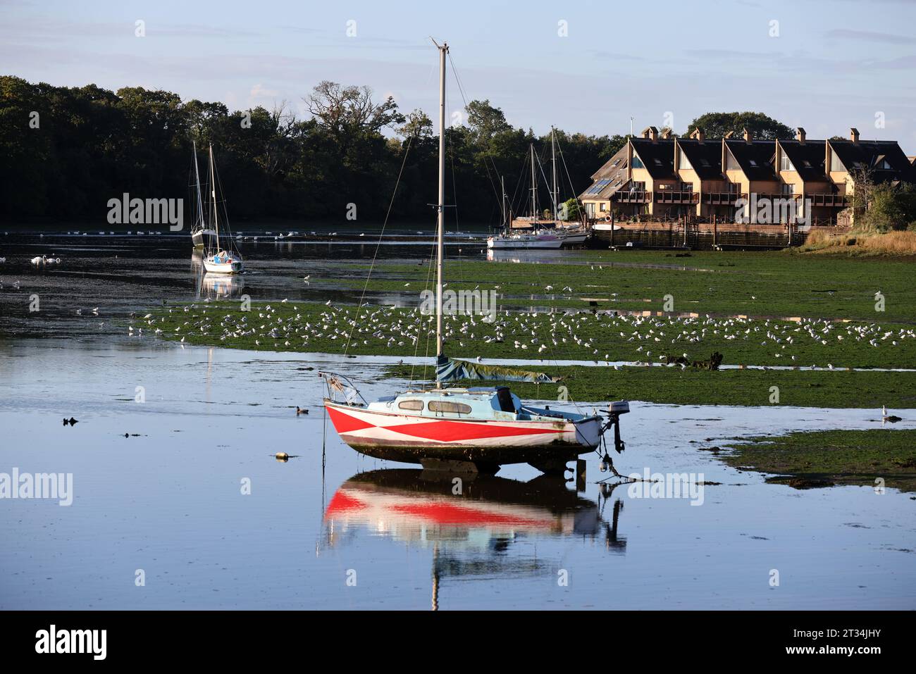 South coast sailing hi-res stock photography and images - Alamy