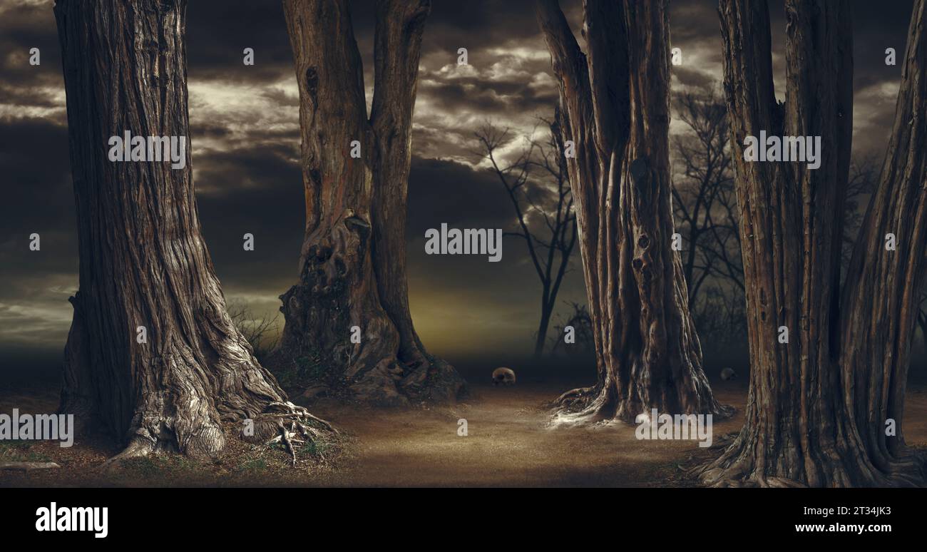 Scary forest with big trees, skulls and mist: horror background Stock ...