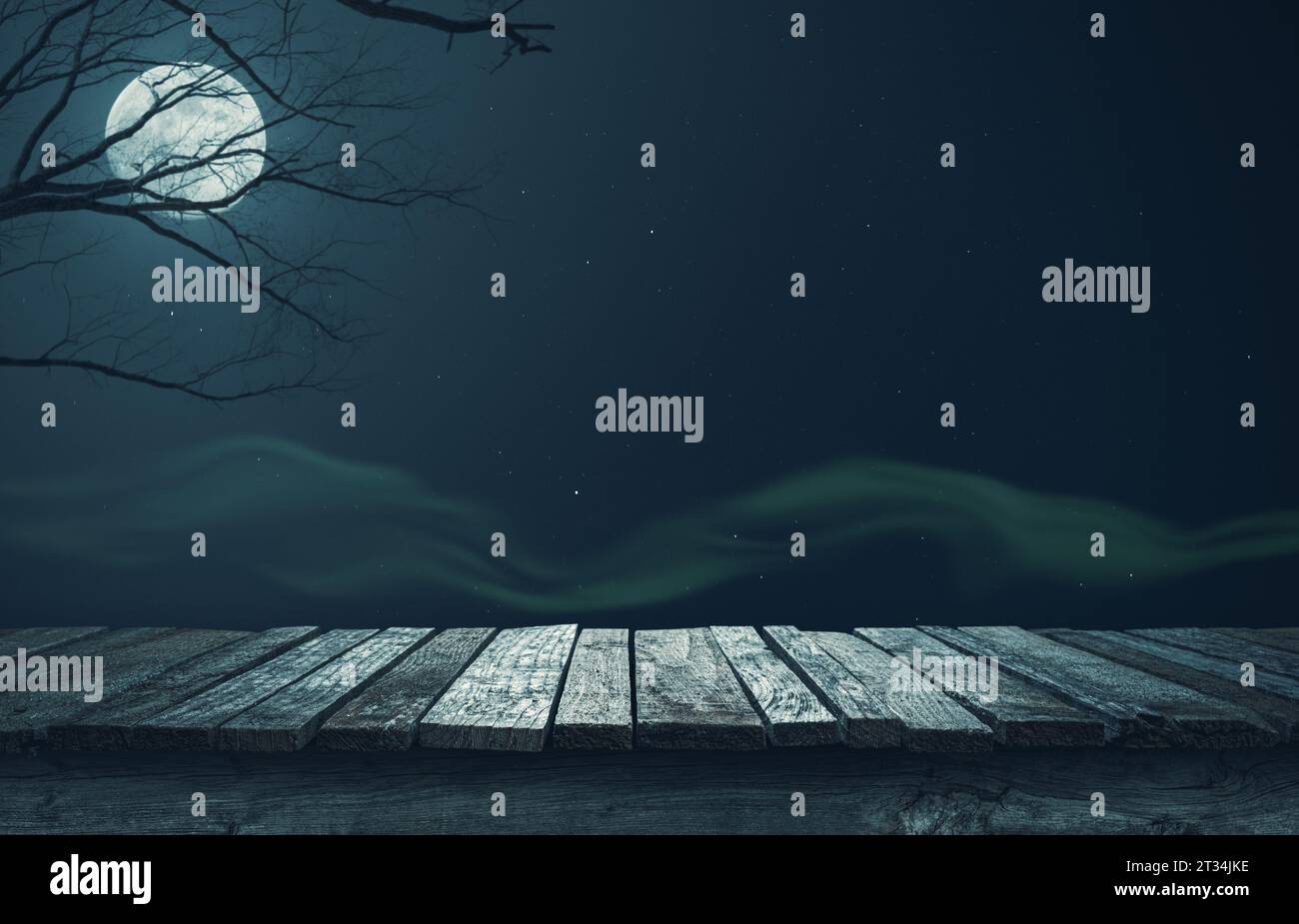 Dark creepy forest background rough hi-res stock photography and images ...
