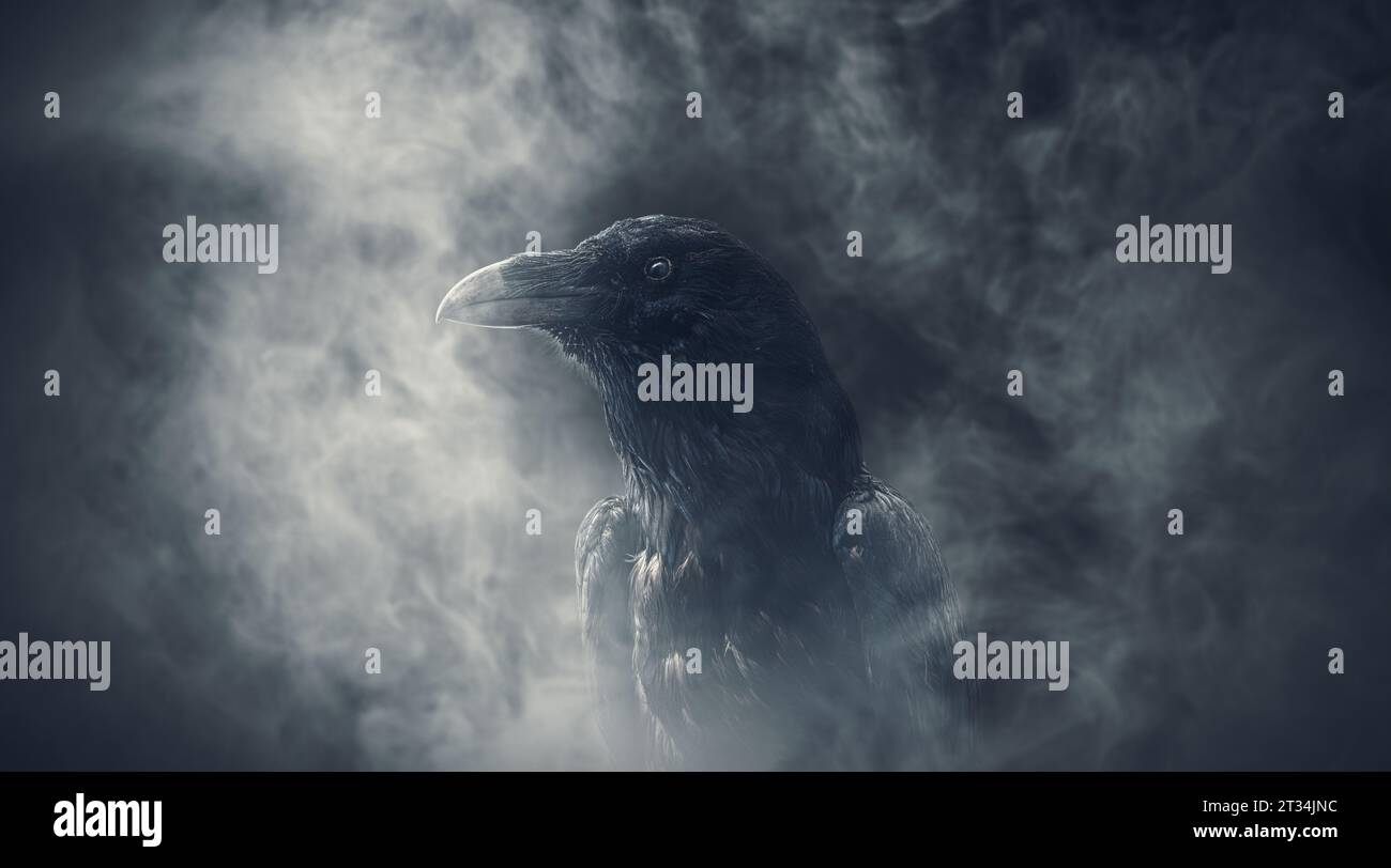 Smoke crow hi-res stock photography and images - Alamy