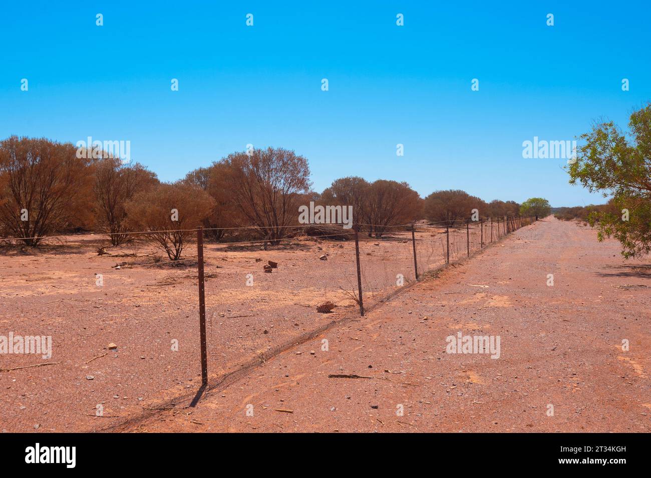 Rabbit proof fence hi-res stock photography and images - Alamy