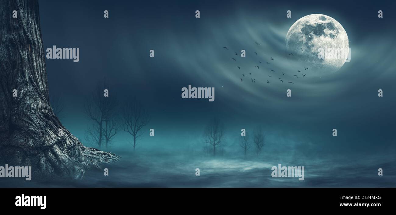 Scary night scene with trees lit by the full moon in the sky: horror ...