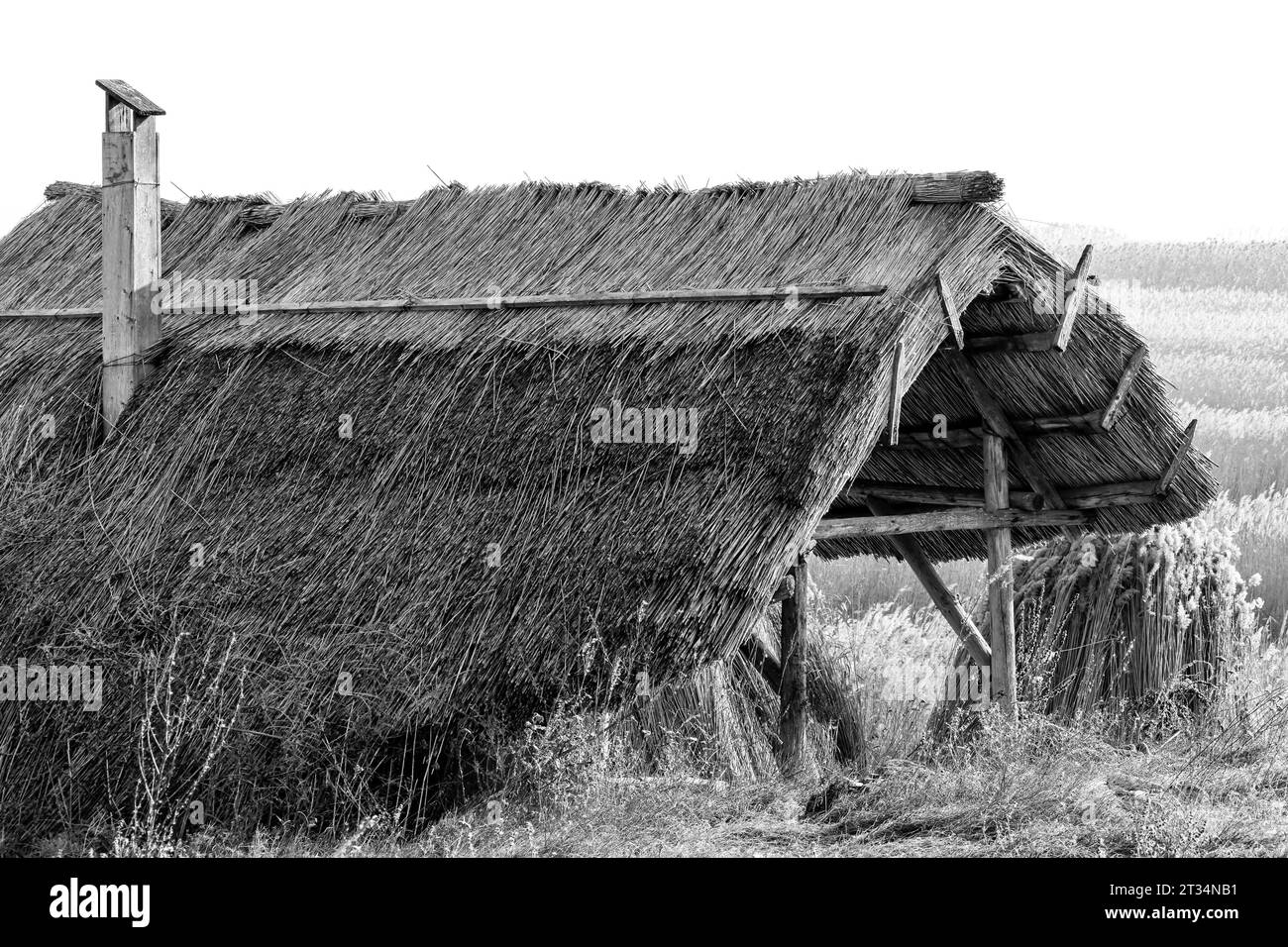 Thatch hut Black and White Stock Photos & Images - Alamy