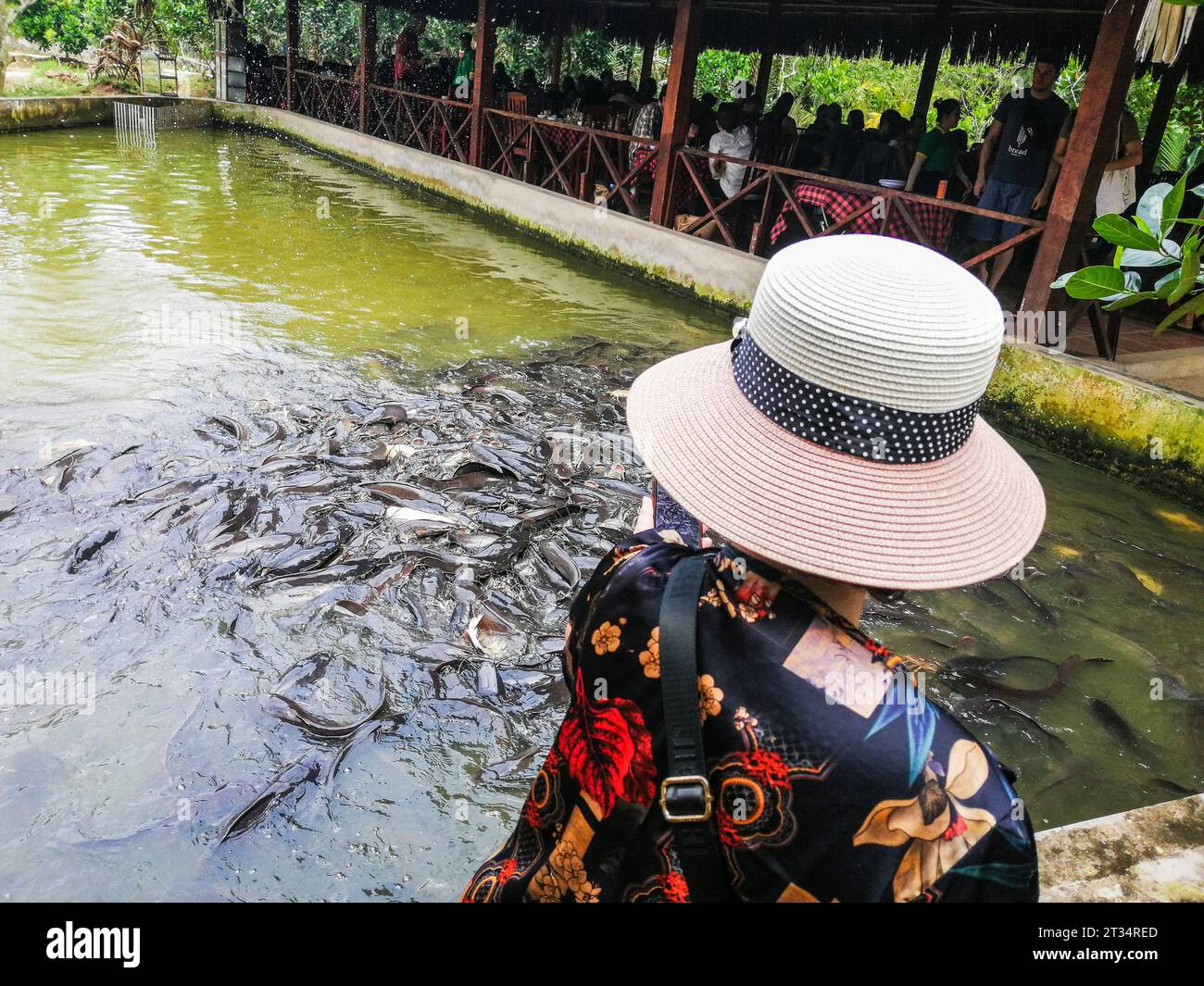 Vietnam, Mekon Delta, tourist Stock Photo - Alamy