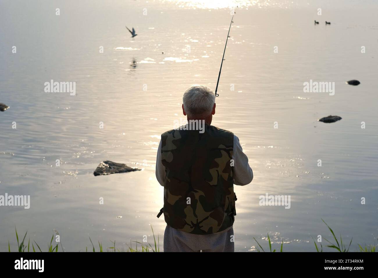 Old man fishing. Senior gray haired fisherman throws a spinning from ...