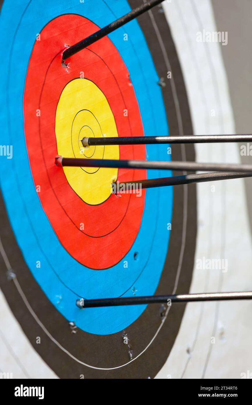 Standard archery target pierced by arrows with one hit the bullseye ...