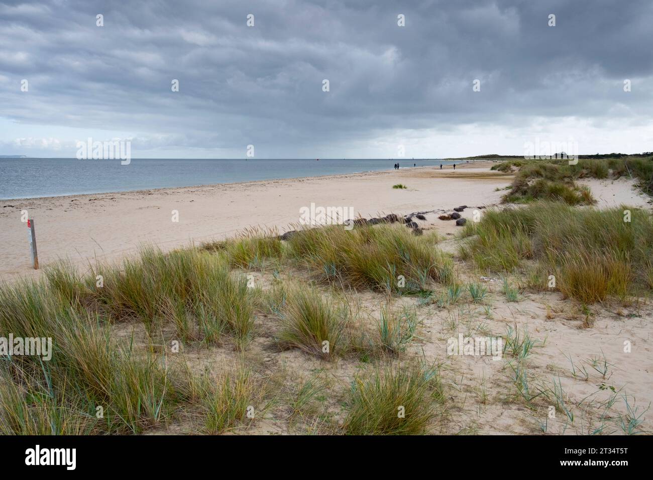 The sandy beach at Shell Bay, Dorset on the south coast of ENgland ...