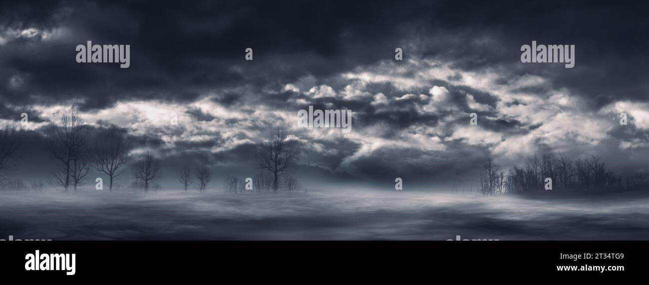 Horror background: dark night sky with clouds, fog and dry trees Stock ...