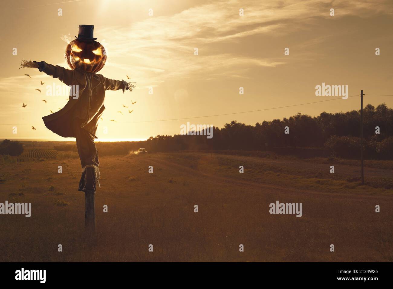 Spooky Halloween scarecrow with pumpkin head in the fields at sunset ...