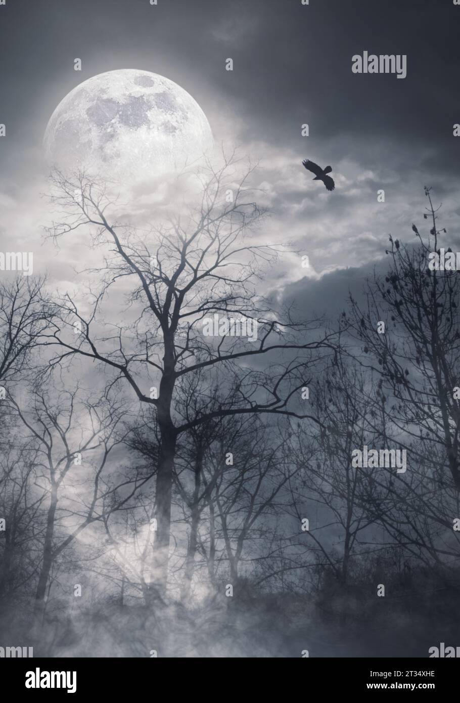 Dry trees in the misty forest and full moon in the sky at night, horror ...
