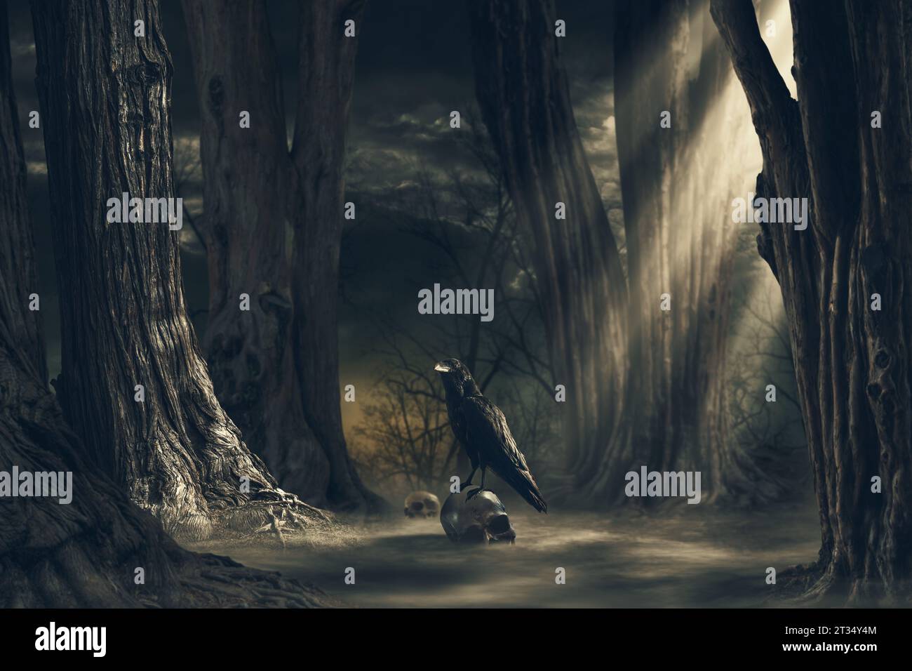 Scary crow on a human skull and trees: horror background Stock Photo ...