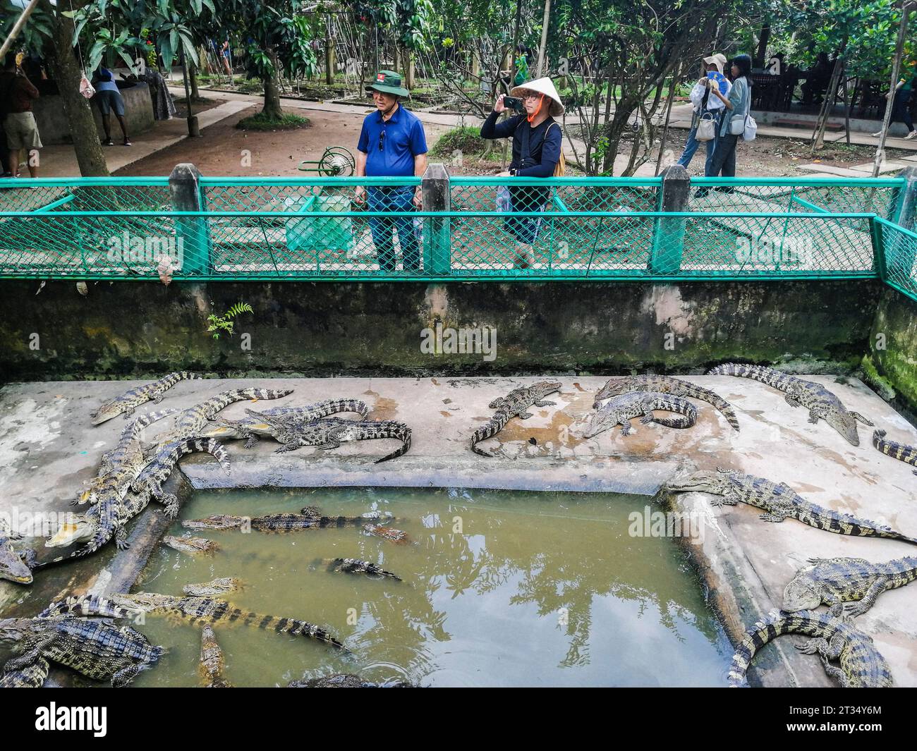 Vietnam, Mekon Delta Stock Photo - Alamy