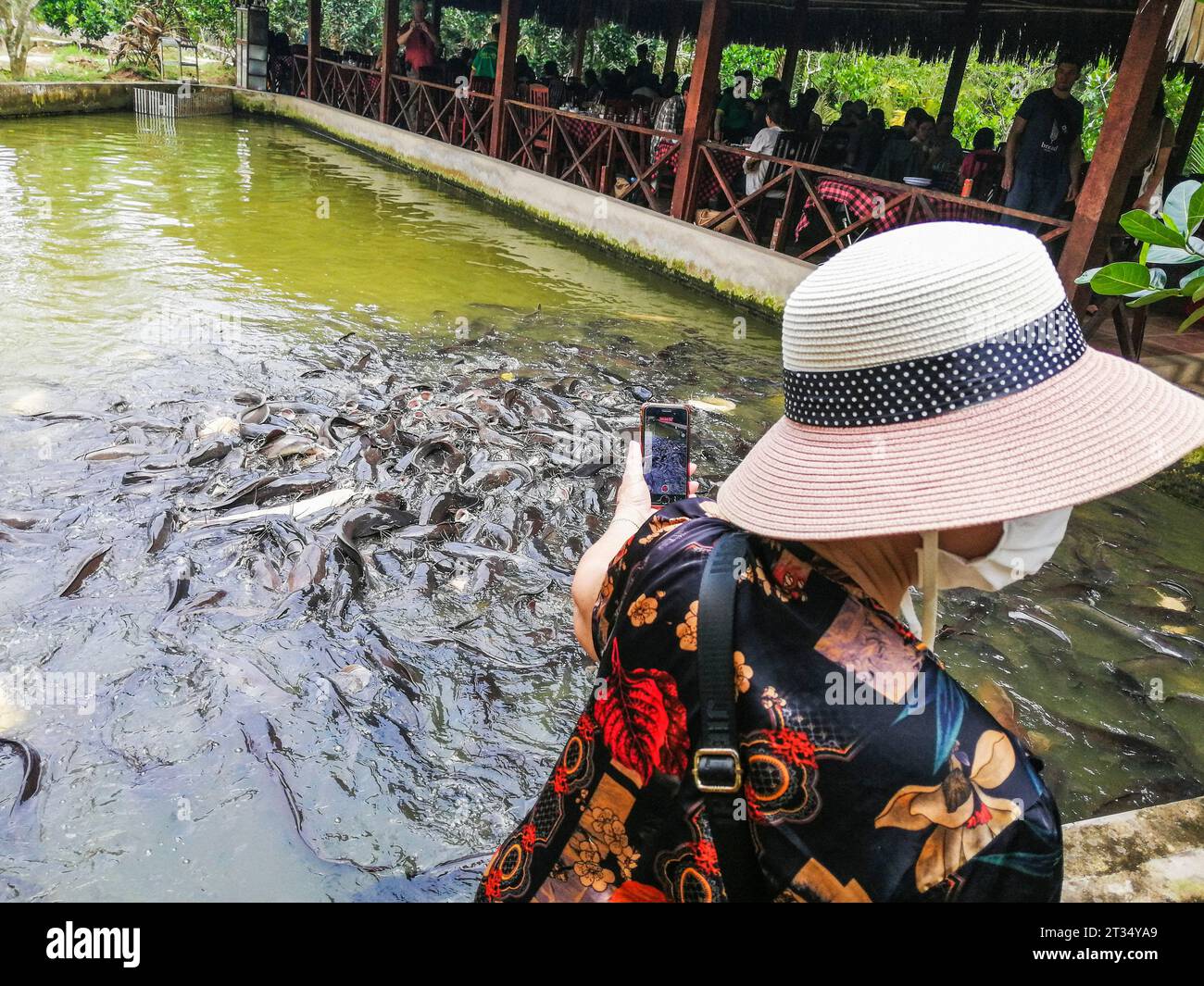 Vietnam, Mekon Delta, tourist Stock Photo - Alamy