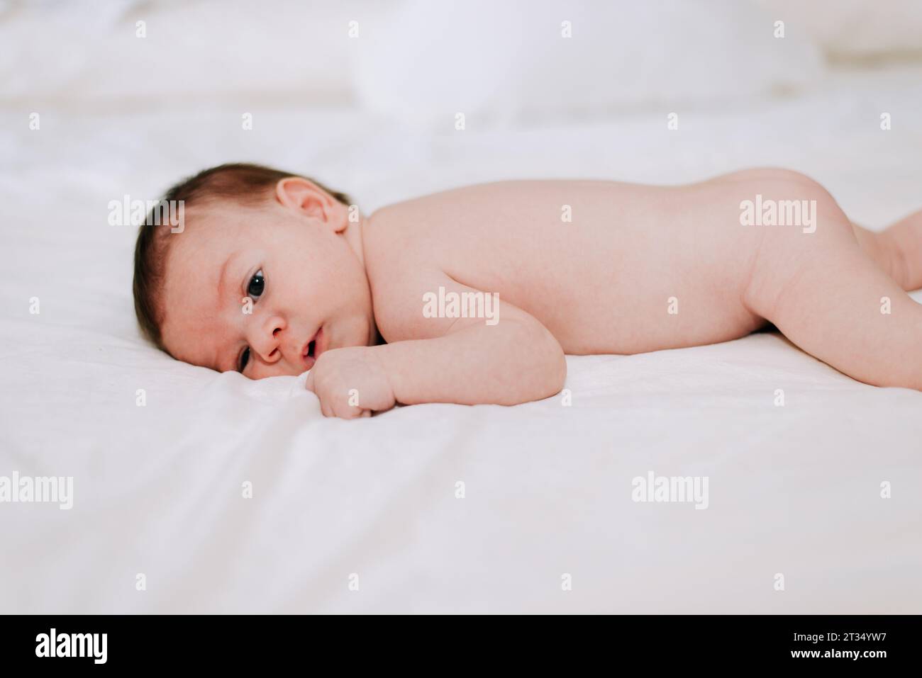 two weeks old newborn in studio lighting against white Stock Photo - Alamy