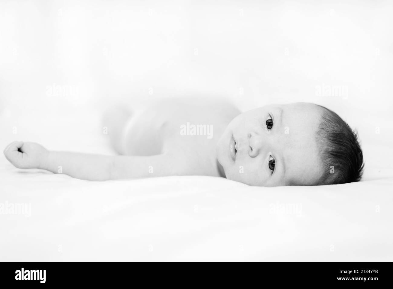 two weeks old newborn in studio lighting against white Stock Photo - Alamy