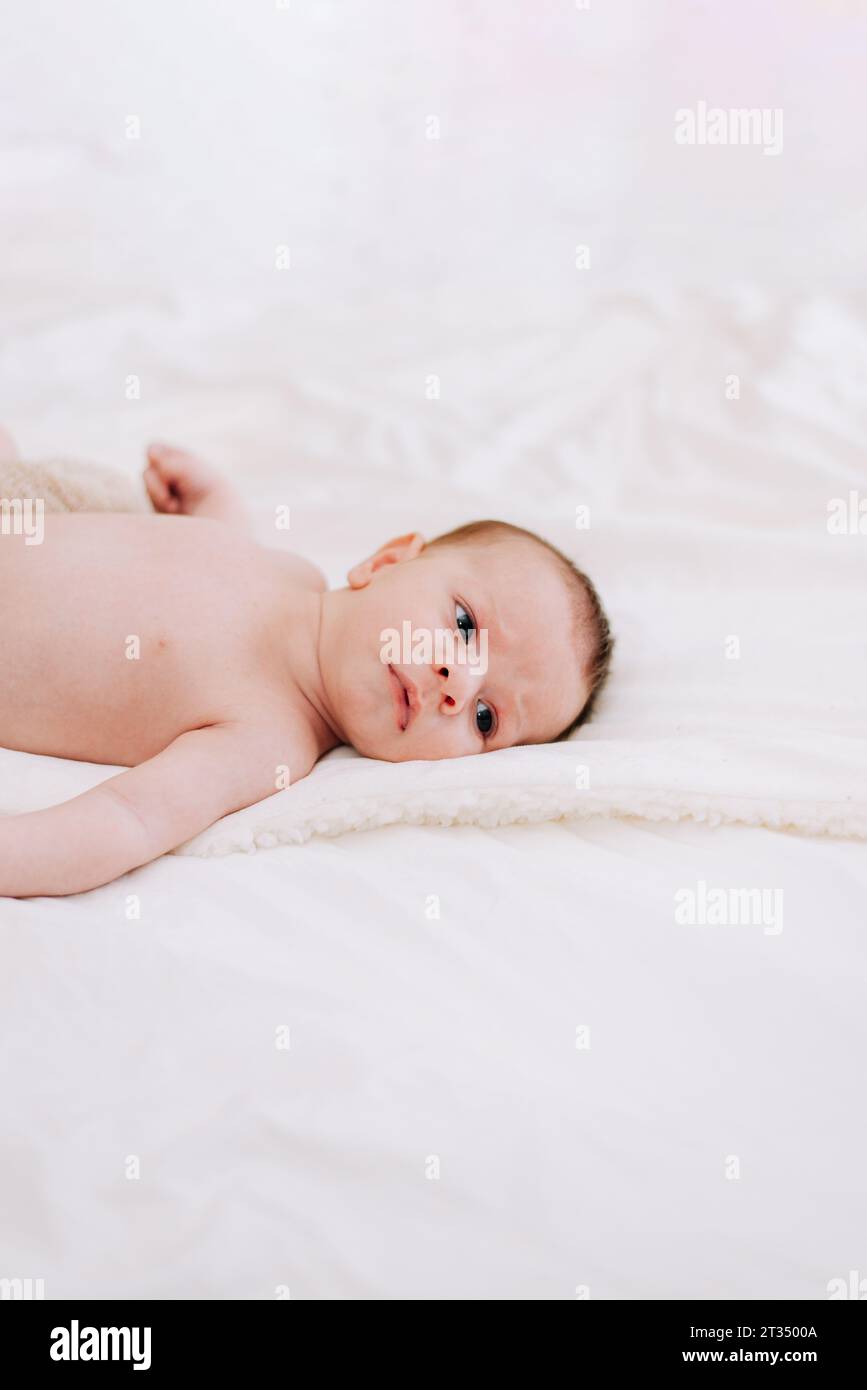 two weeks old newborn in studio lighting against white Stock Photo - Alamy
