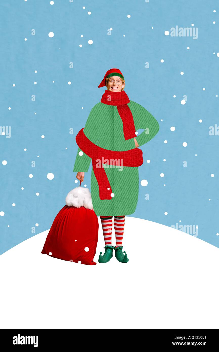 Creative drawing collage picture of funny man elf costume character bag ...