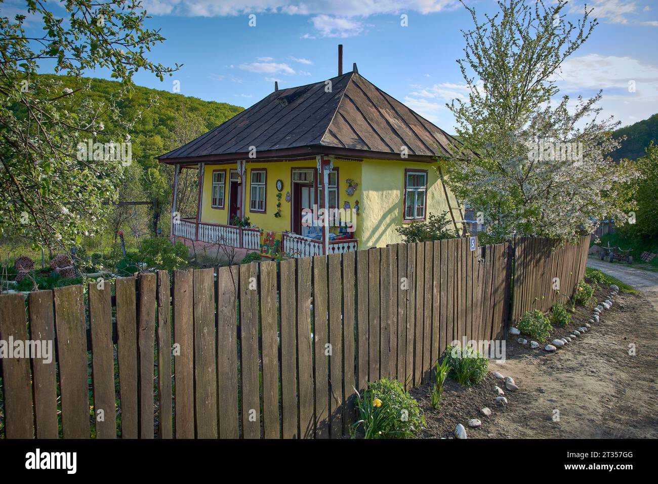 the beautiful house in the country with flowering trees in spring in ...