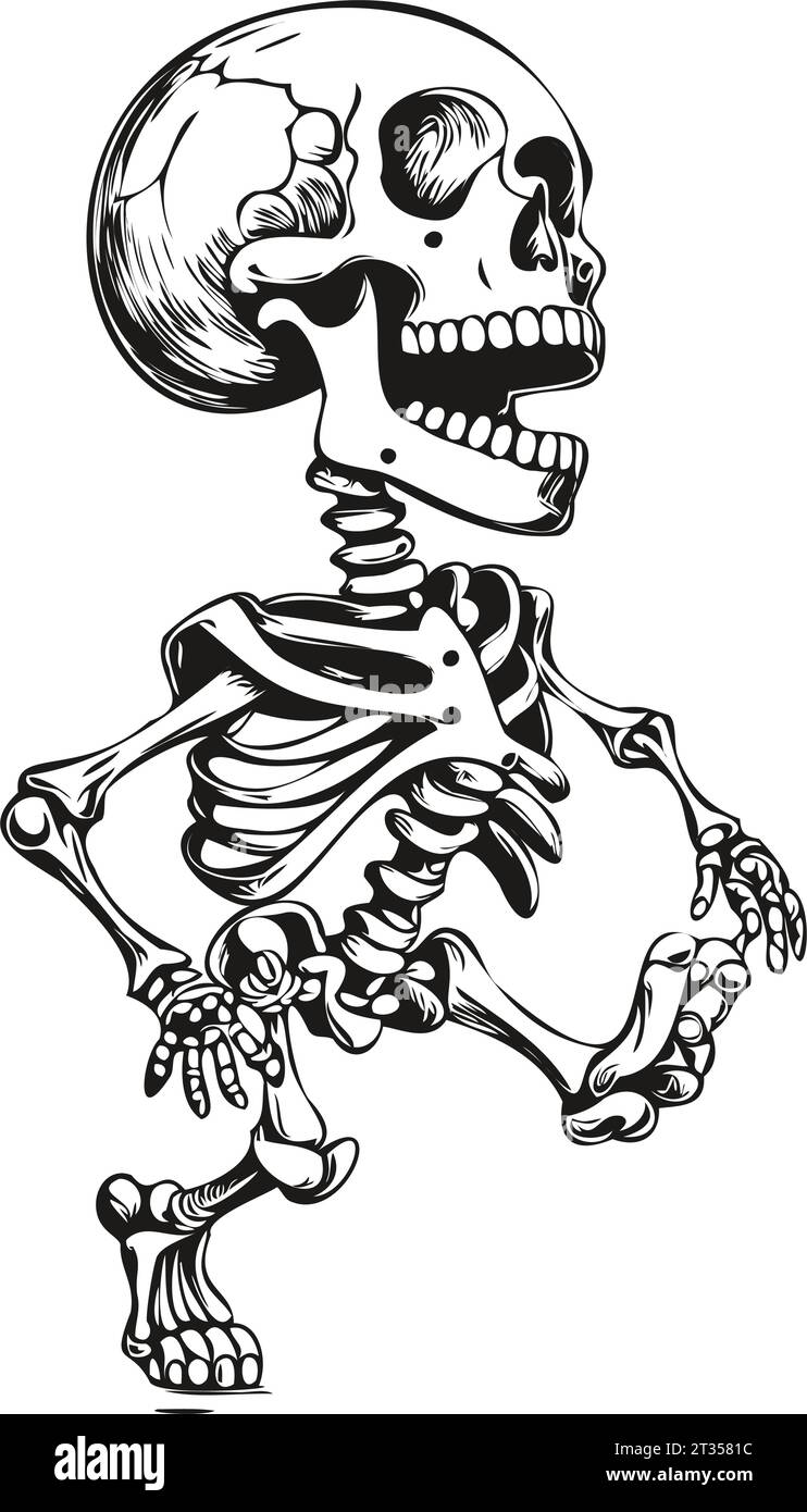 X ray image of a human skeleton Stock Vector Images - Alamy