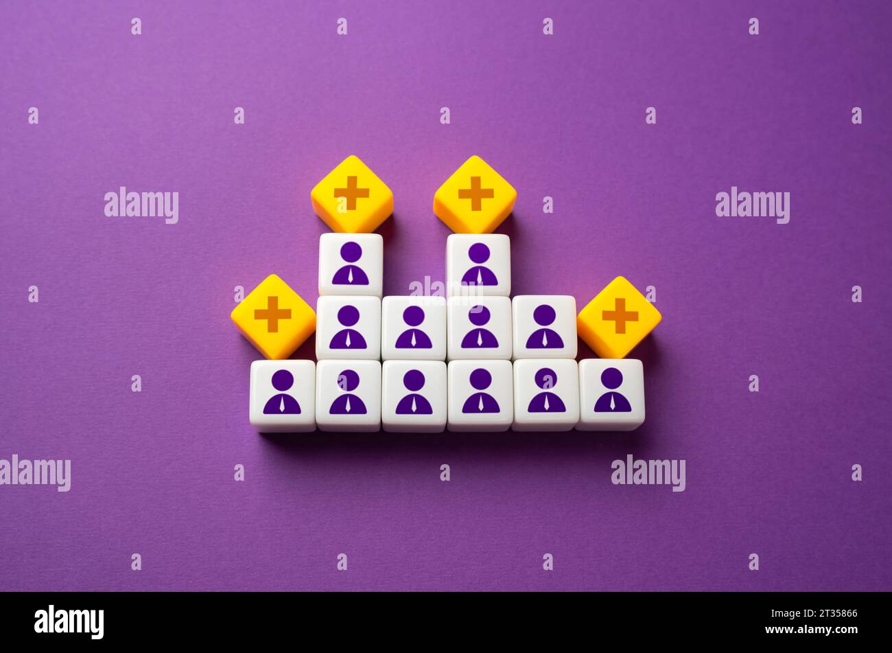 Growth of staff. Grow the team. Found a community. Bring in a wider ...