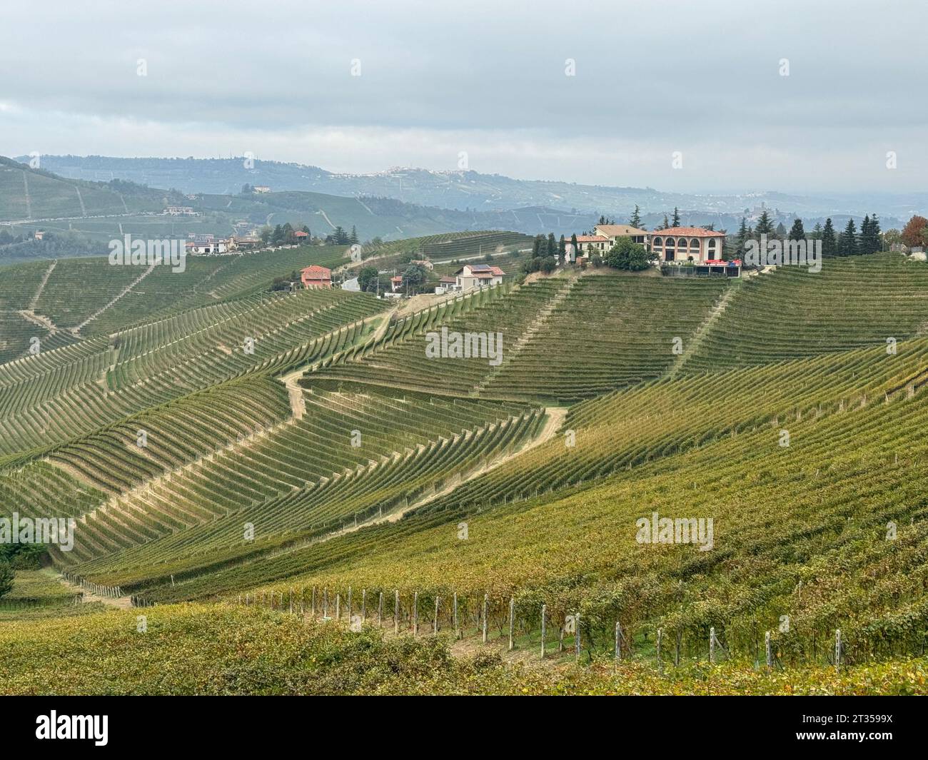 Italian landscape in Langhe and Monferrato, vineyards are visible on ...
