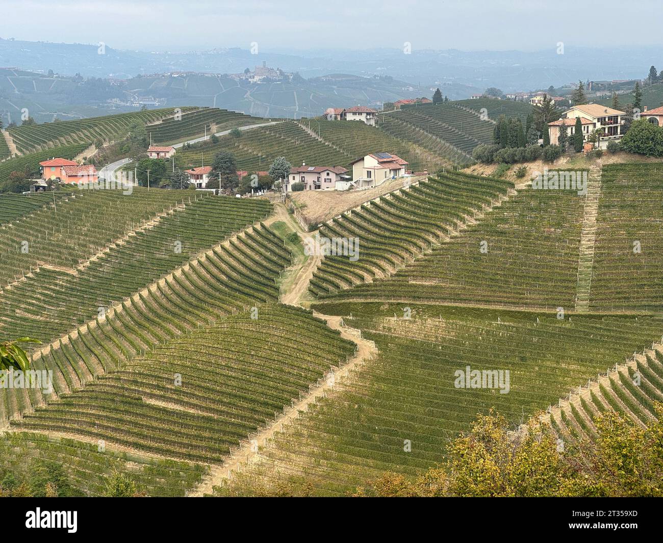 Italian landscape in Langhe and Monferrato, vineyards are visible on ...
