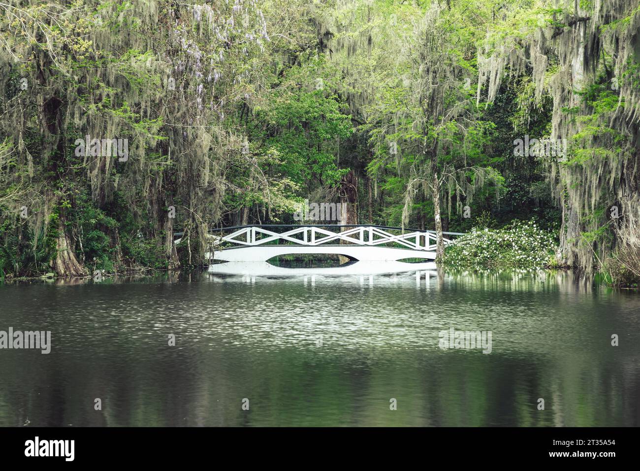 Spring in charleston south carolina hi-res stock photography and images ...