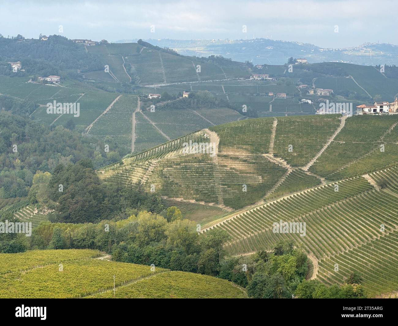 Italian landscape in Langhe and Monferrato, vineyards are visible on ...