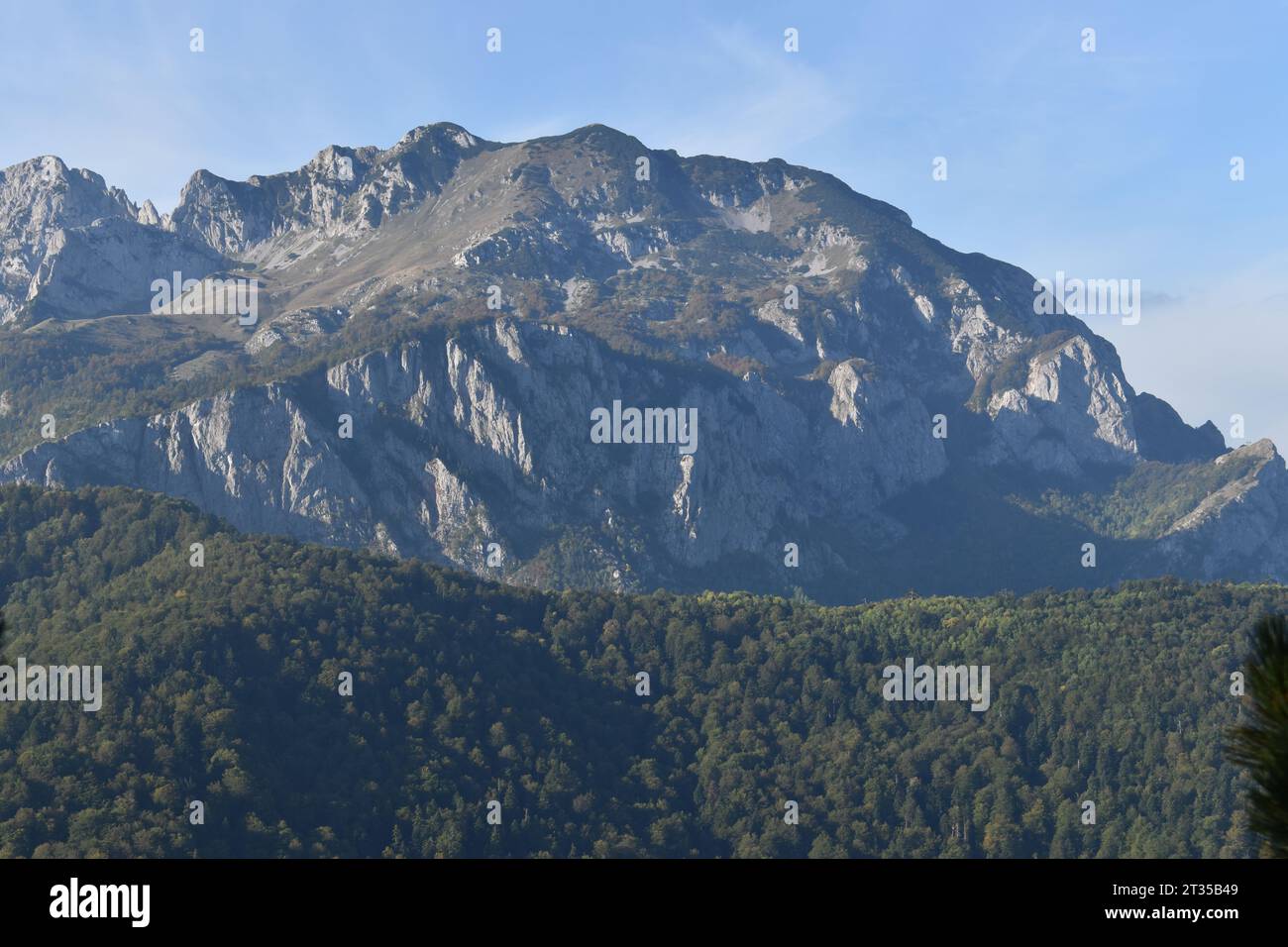 Perucica rainforest hi-res stock photography and images - Alamy