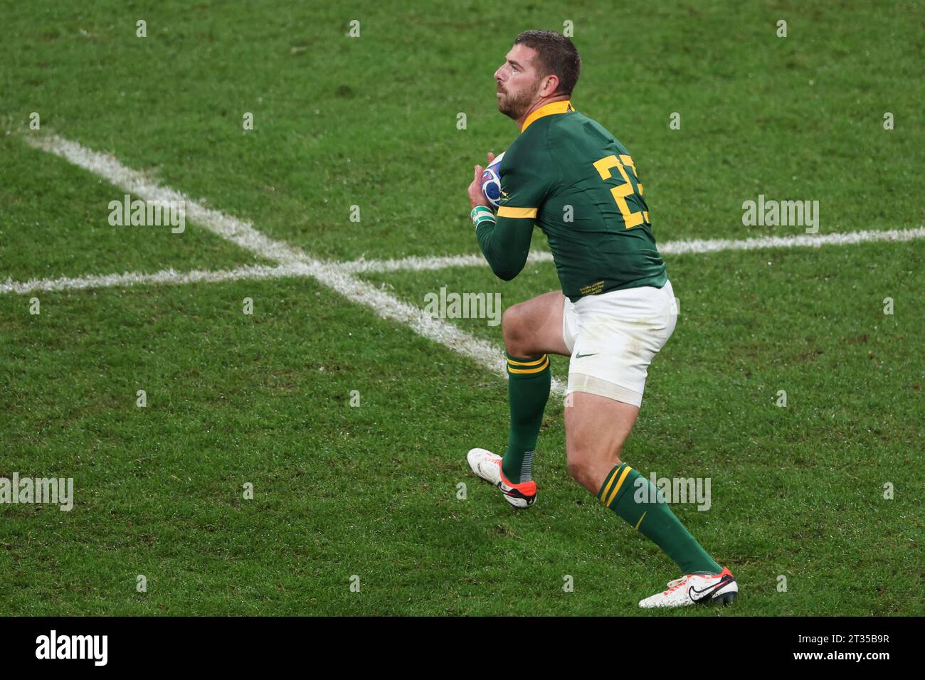 Willie le roux springboks hi-res stock photography and images - Alamy