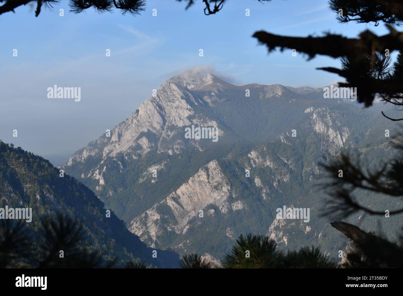 Perucica rainforest hi-res stock photography and images - Alamy