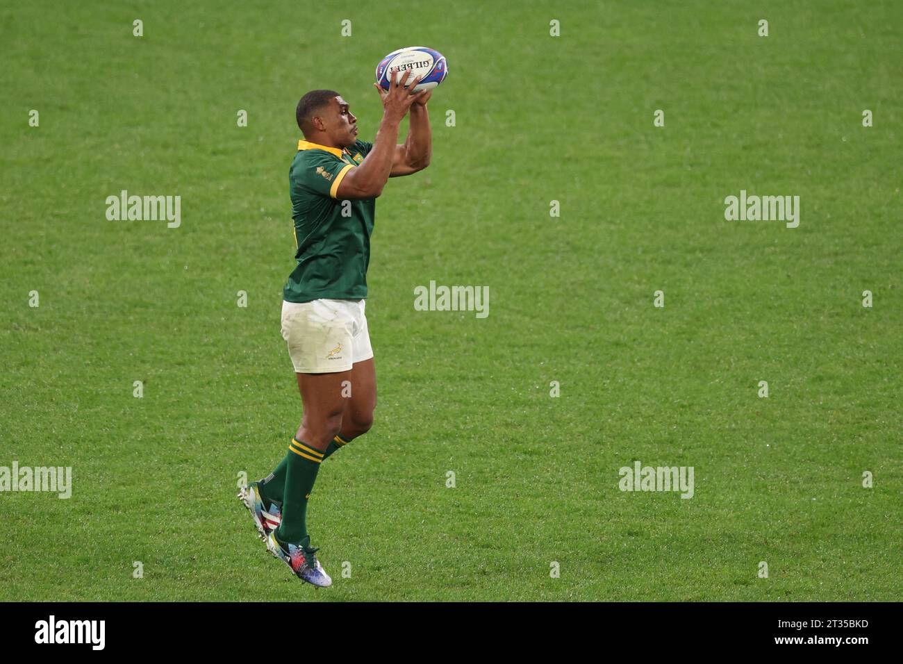 Damian willemse springboks rugby hi-res stock photography and images ...