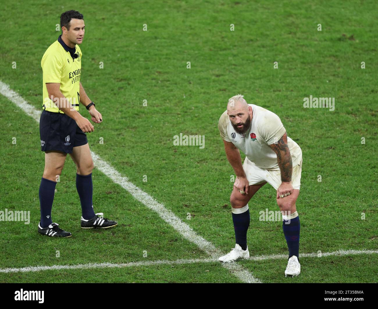 Springboks rugby team 2023 hi-res stock photography and images - Alamy