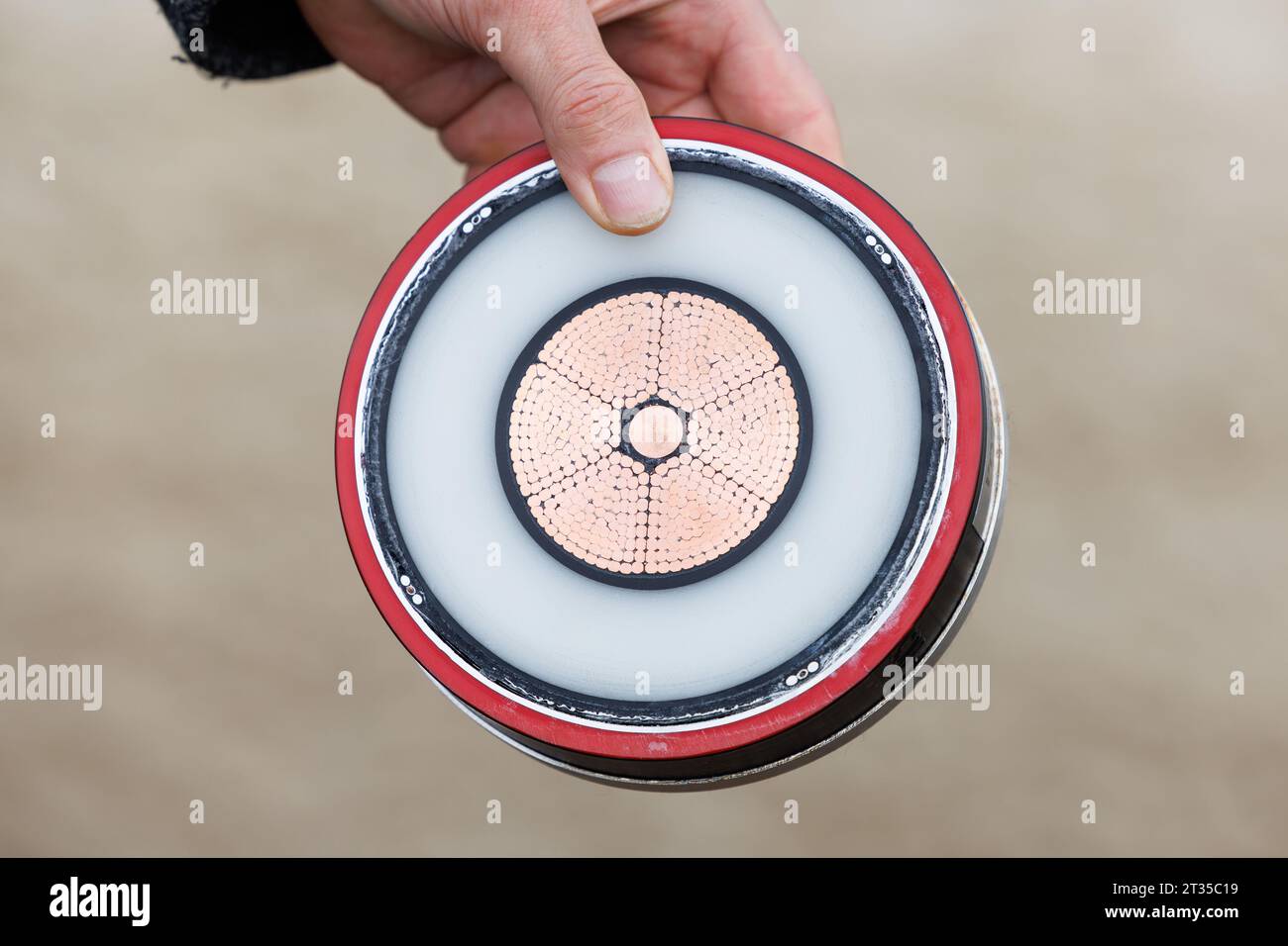 Meppen, Germany. 23rd Oct, 2023. View of a cable cross-section at the ...