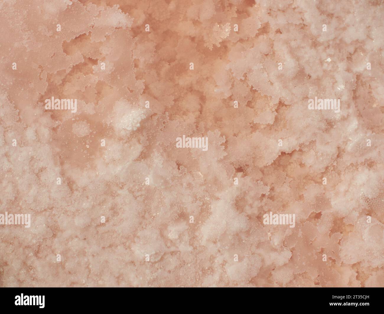 Natural pink salt crystal texture in water, macro, close-up photo ...