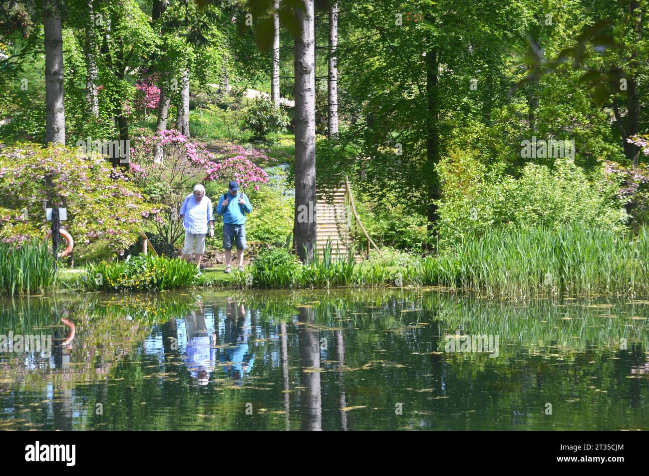 Two People Reflected in the Magnolia Lake at the Himalayan Garden ...