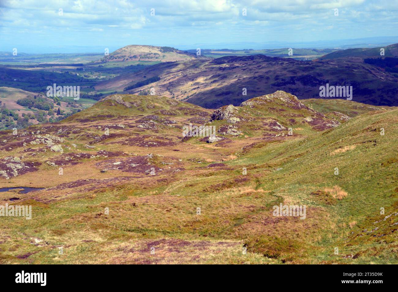 'Bleaberry Knott' and 'The Knight' from near the Summit of 'Place Fell ...