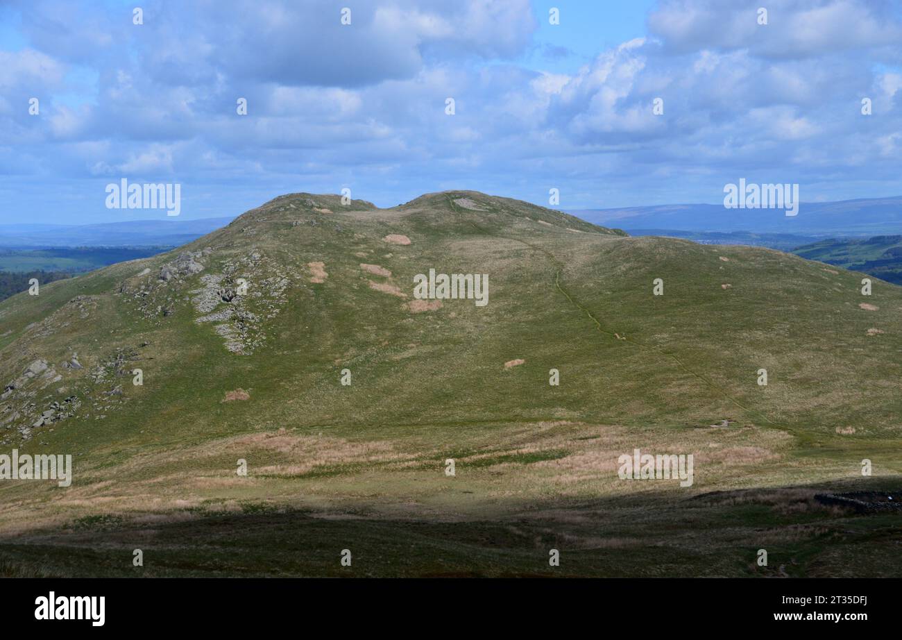 The Twin Peaks of the Birkett 'High Dodd' and Low Moss Sheepfold in the ...