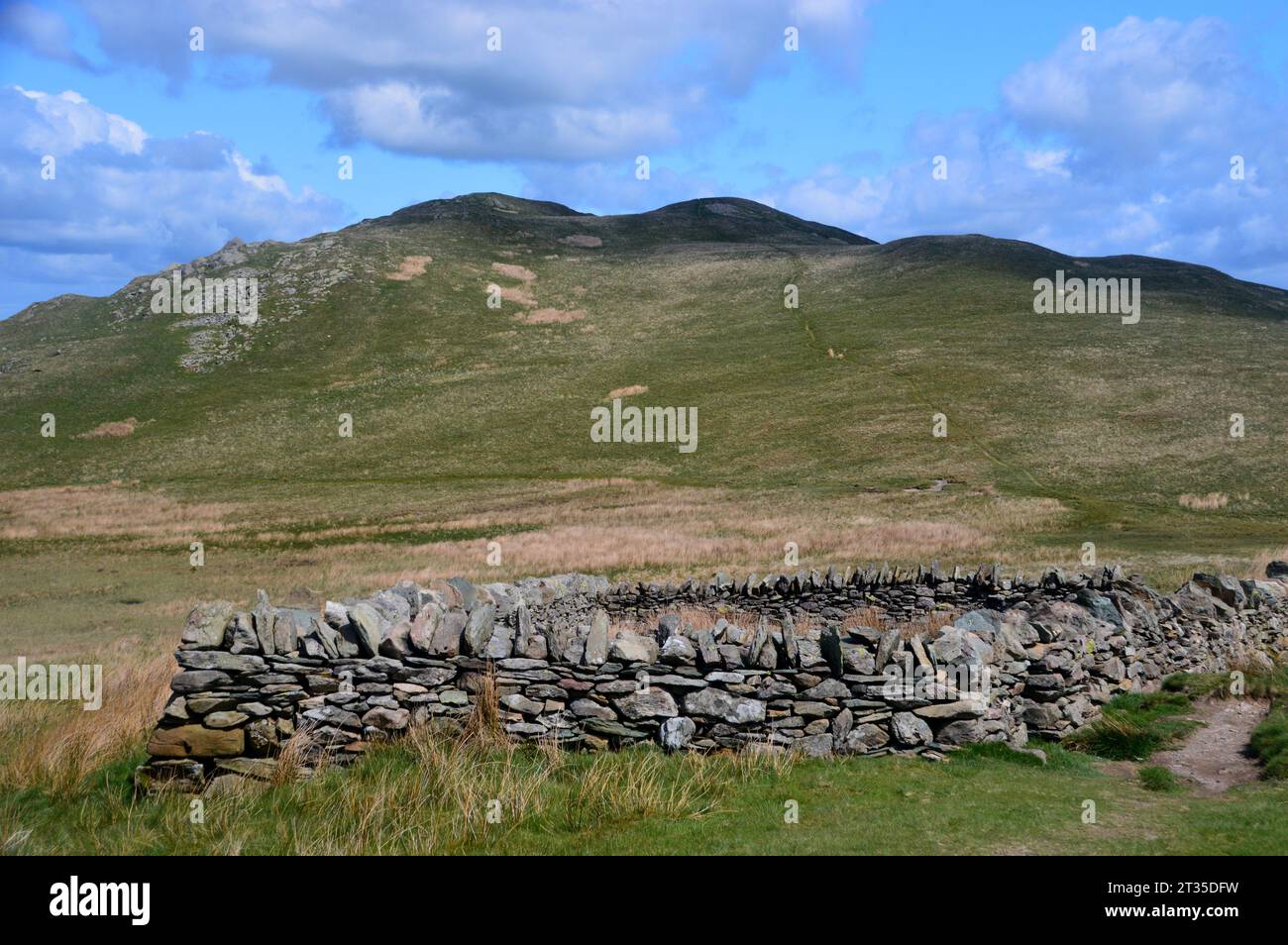 The Twin Peaks of the Birkett 'High Dodd' and Low Moss Sheepfold in the ...