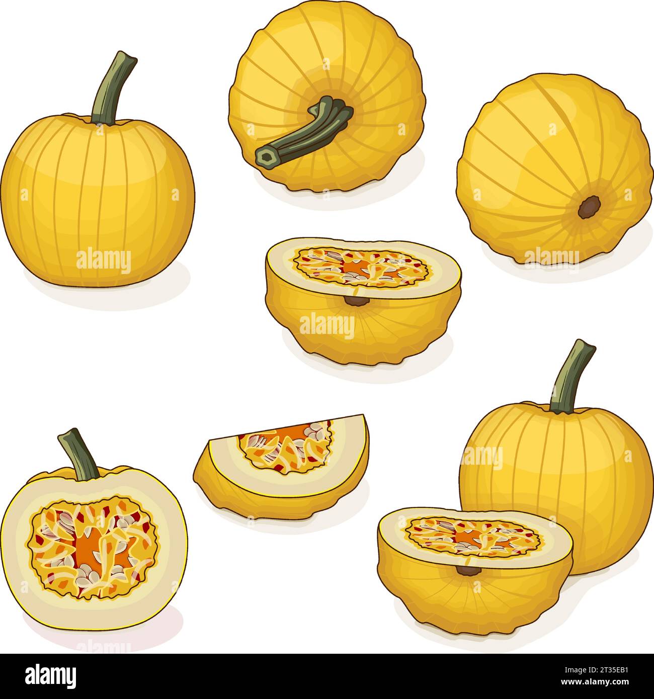 Set of Mellow Yellow Pumpkin. Winter squash. Cucurbita pepo. Fruits and ...