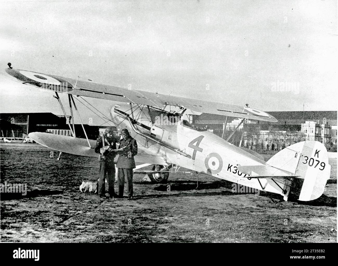 Audaxes hi-res stock photography and images - Alamy