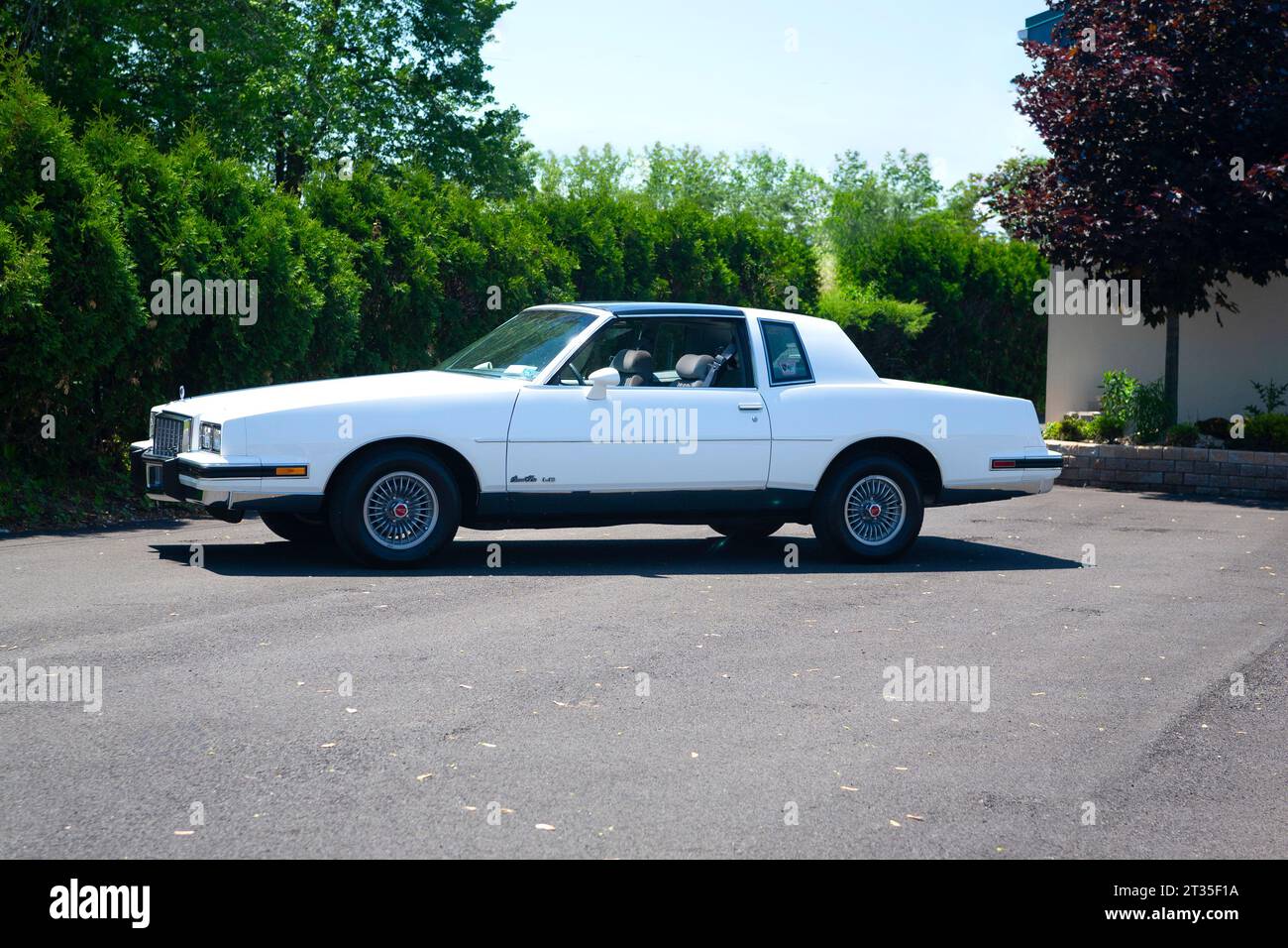 1986 Pontiac Grand Prix LE Stock Photo - Alamy