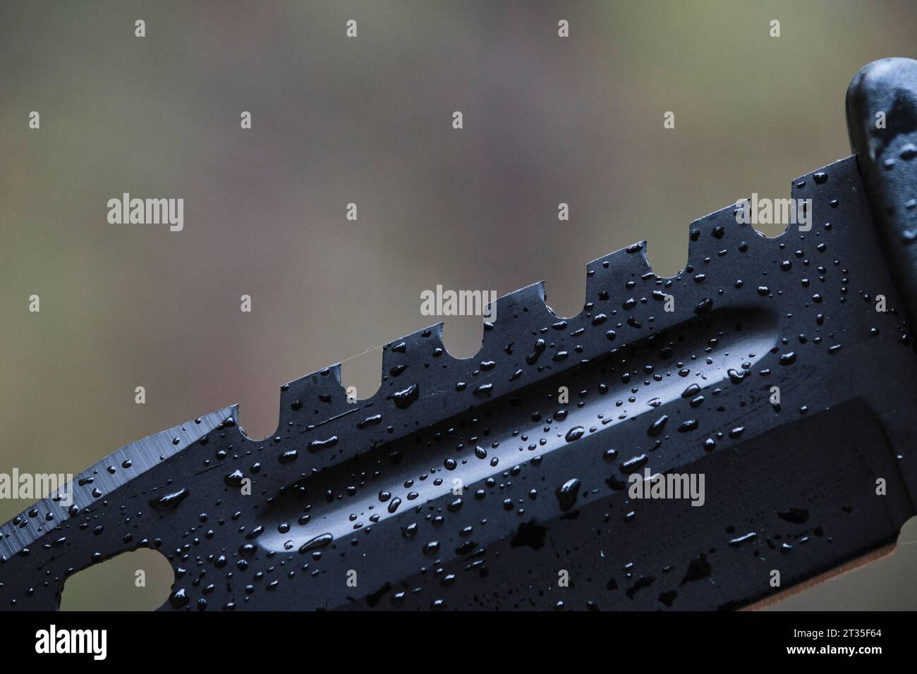 Jagged black blade of tactical knife in raindrops Stock Photo - Alamy