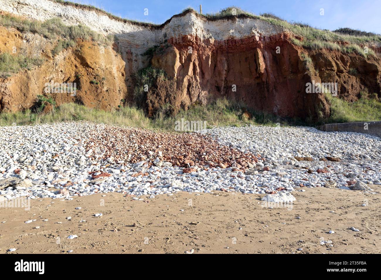 Chalk fossils hi-res stock photography and images - Alamy