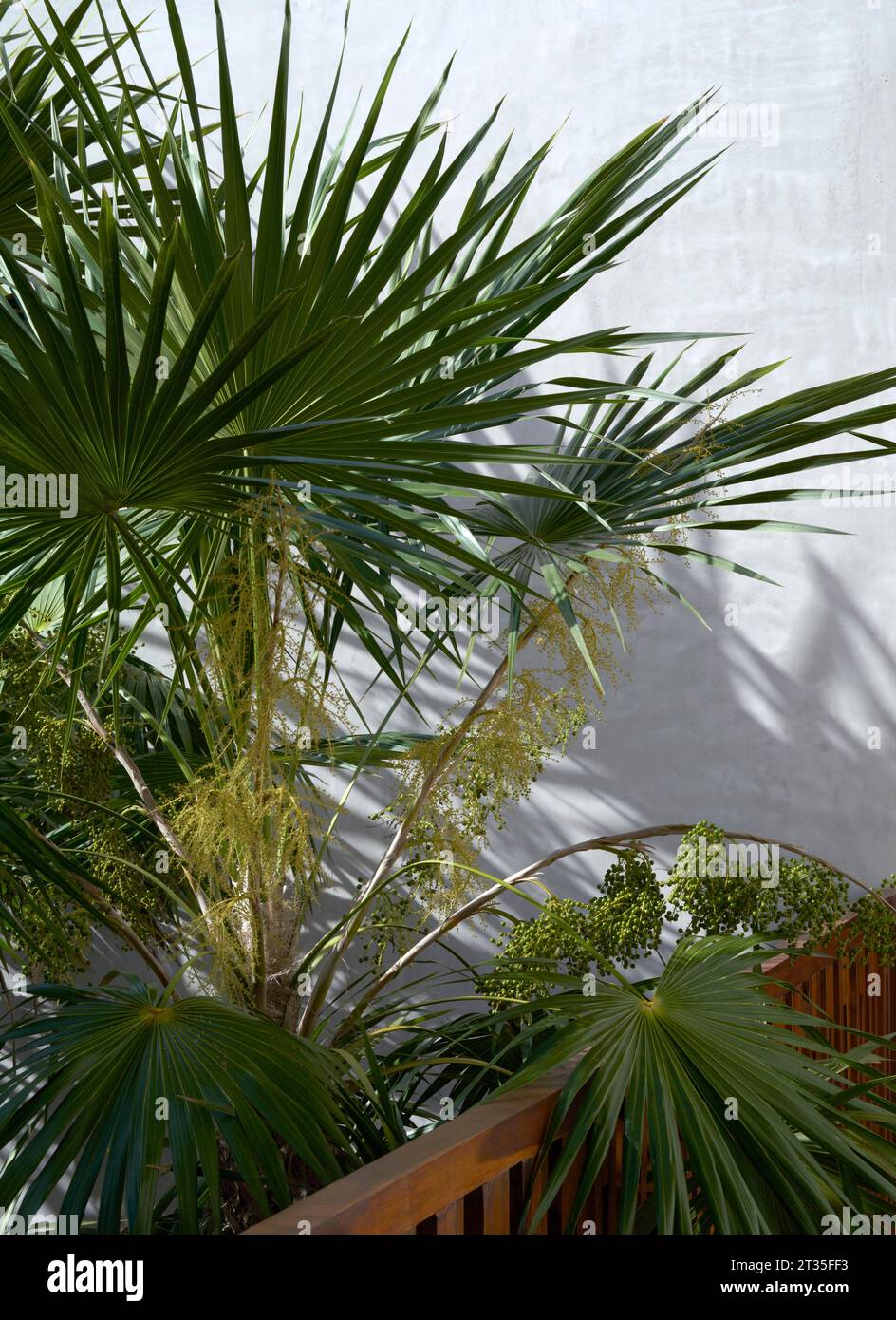 Detail. Holiday Home Tulum - Casa Uh K aay, Tulum, Mexico. Architect ...