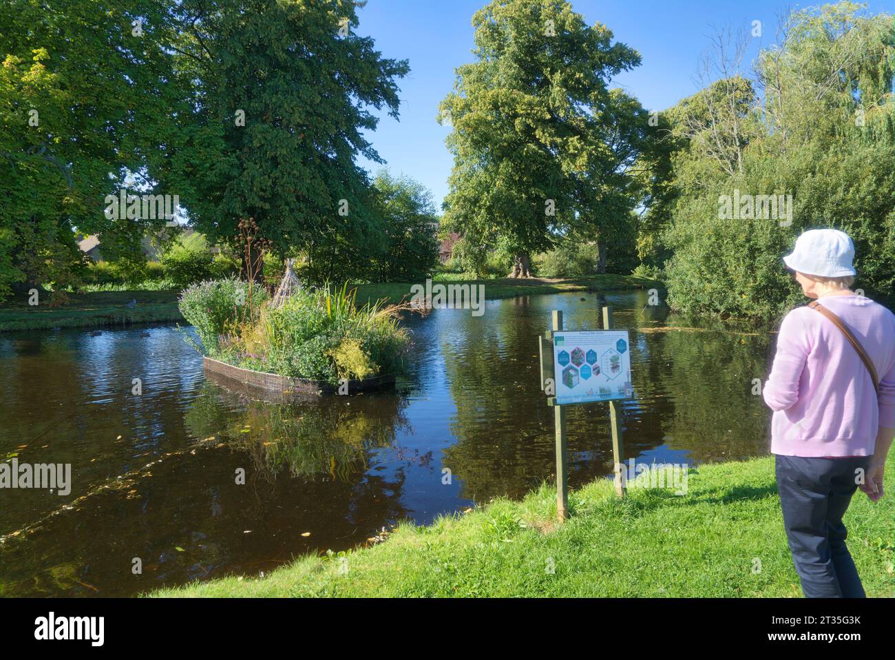 Forres, woman looking north, across pool in the Burn of Mosset, from ...